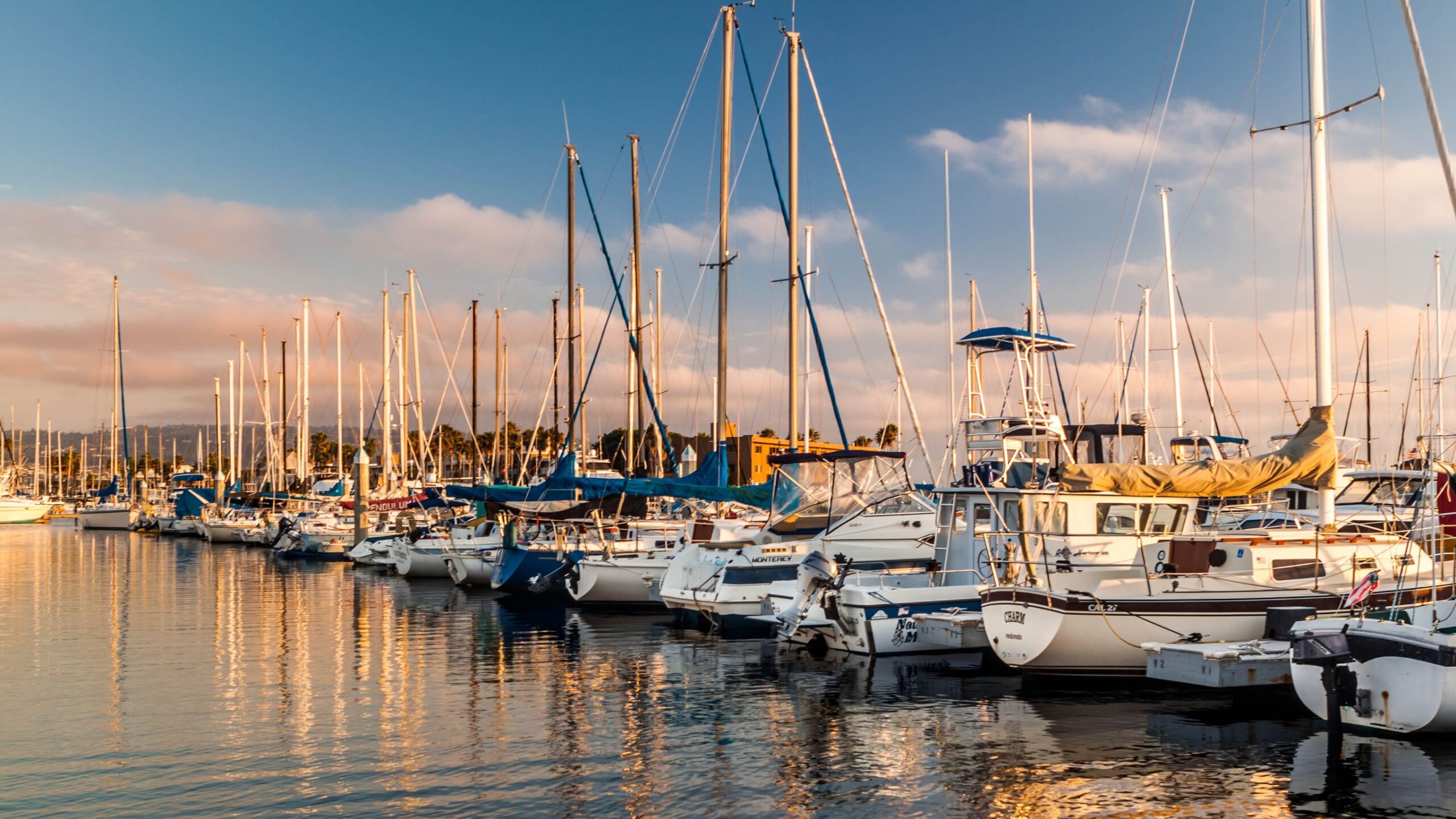 Welcome to Sanders & Montalto, LLP - Sanders & Montalto